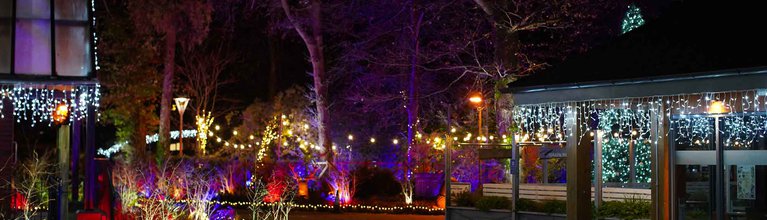 Festive Christmas Breaks | UK Holidays Parks | Away Resorts