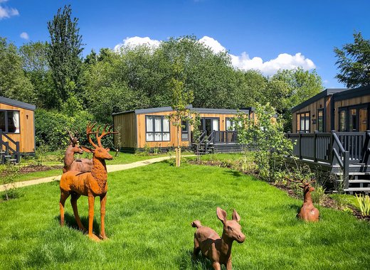 Sandy Balls Holiday Park I New Forest Resort I Away Resorts
